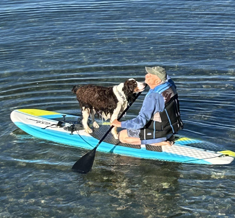 27 paddle boarding pics for pawrent of adventure puppers pondering ...