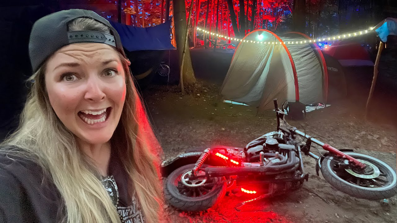Can a Harley vibe check go wrong?