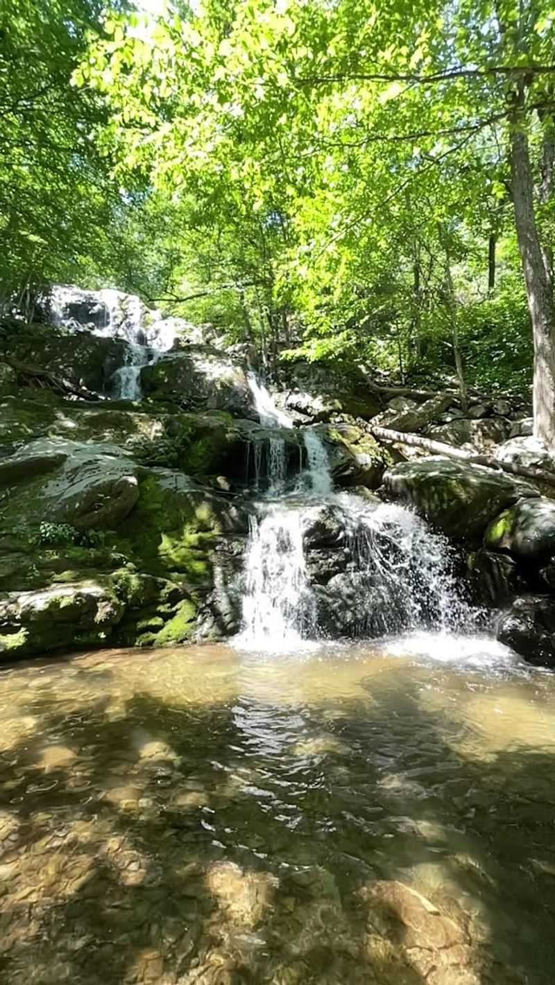 This hidden Virginia waterfall is so perfect it looks straight out of a ...