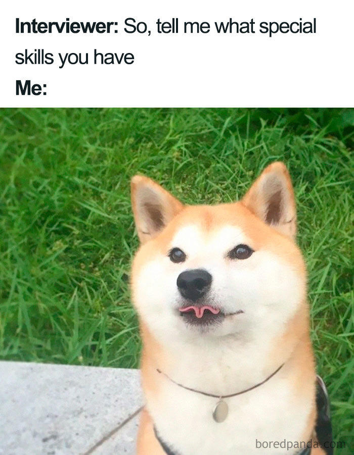 27 job interview memes that are too funny
