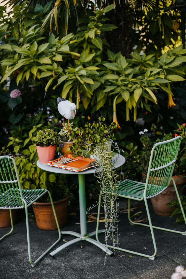 Tabletop gardens are the ultimate small-space gardening solution – here ...
