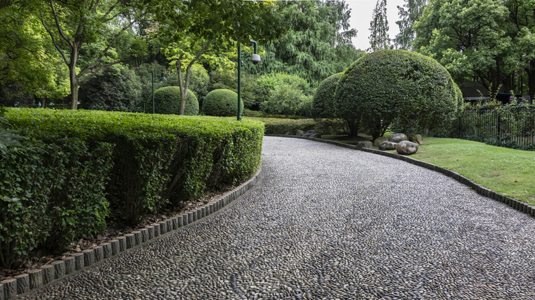 The best landscape rock glues reviewed