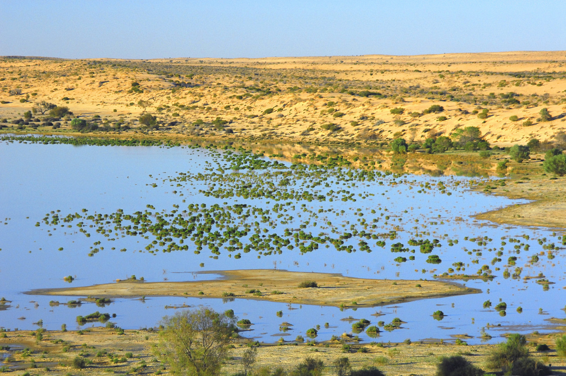 The world’s largest endorheic lakes, ranked