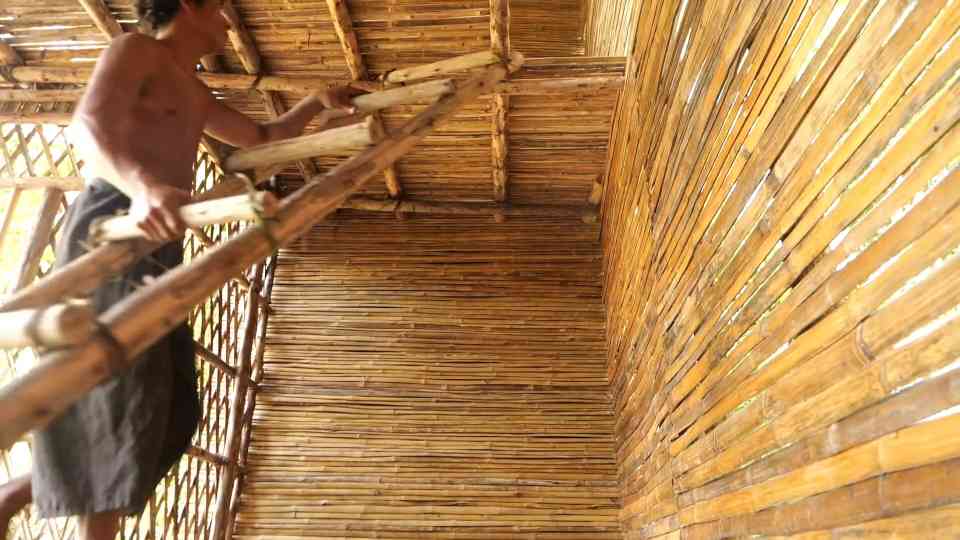 These guys built a jungle mansion and don’t know who Trump is