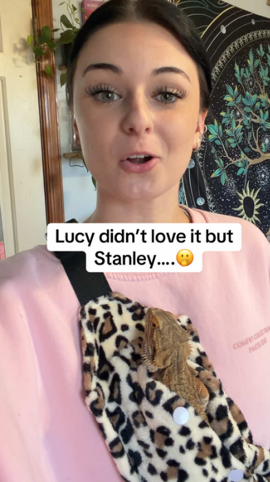You won’t believe why Stanley goes everywhere with me