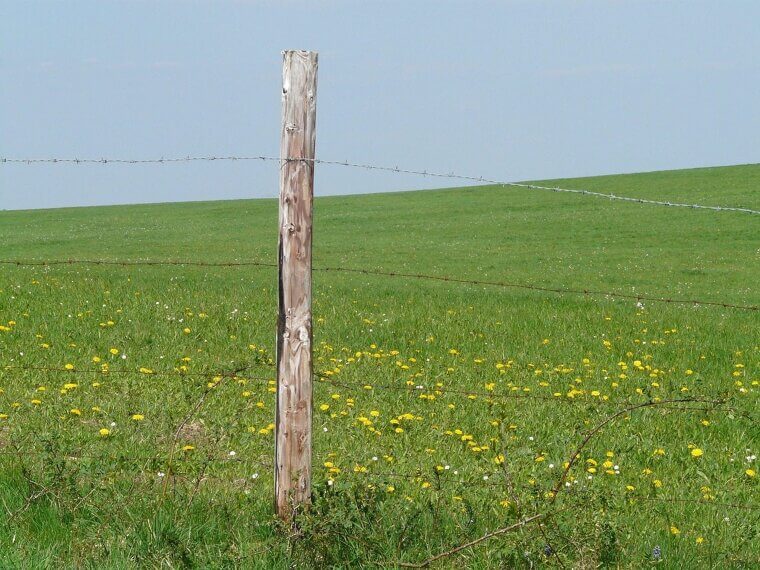 Signs your wood fence posts are rotting at ground level