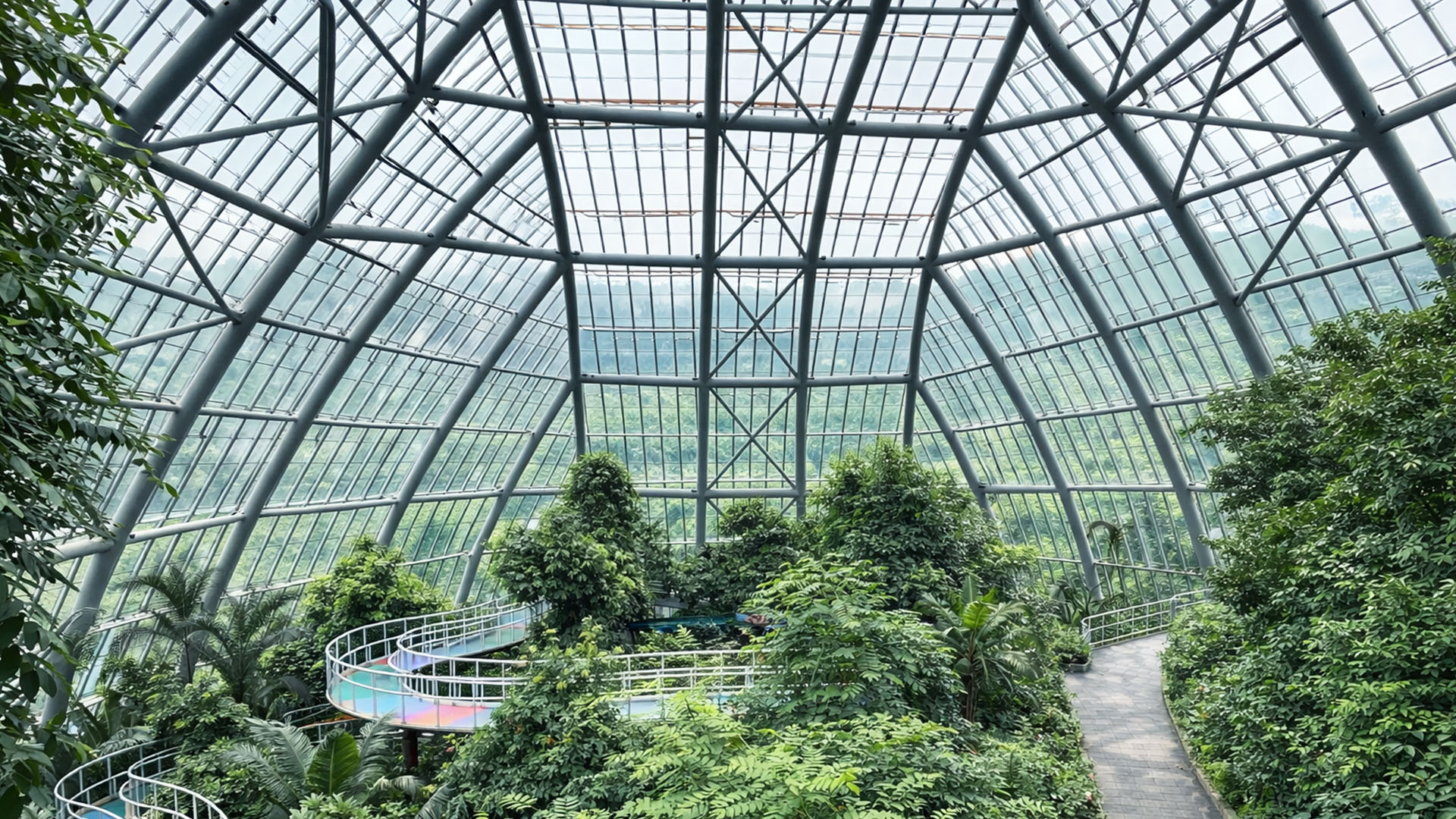 A vast indoor forest in China grows under a transparent roof