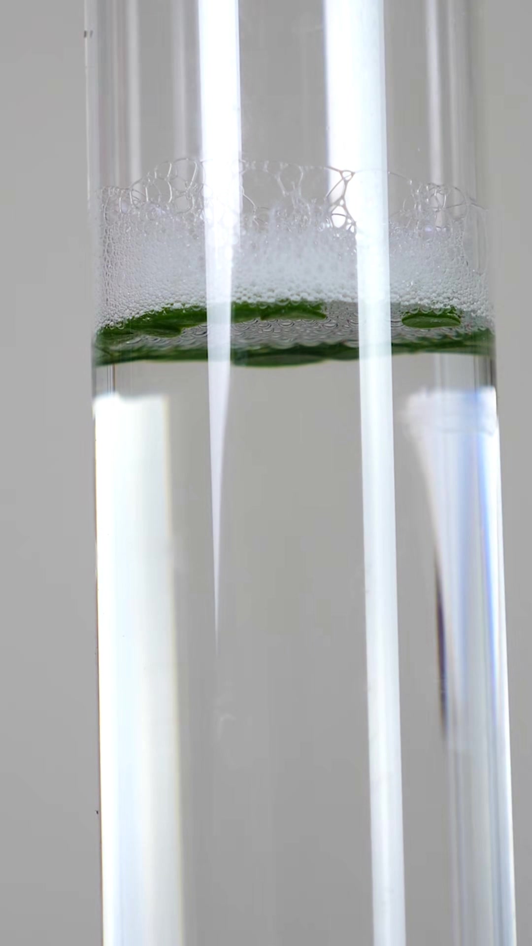 Seeing photosynthesis in real time