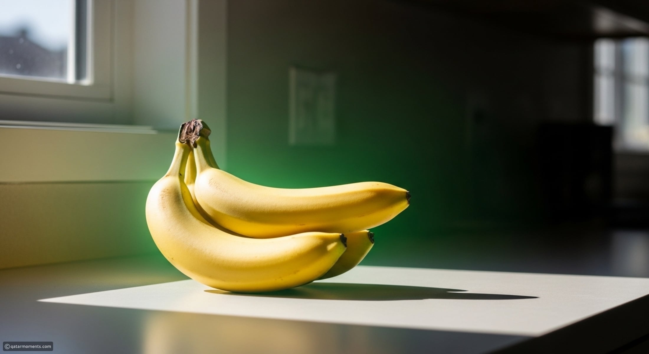 8 strange facts that sound fake but are completely true