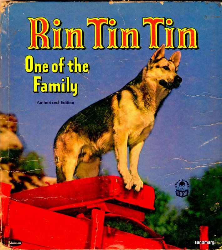 16 iconic animal stars from classic movies and TV shows