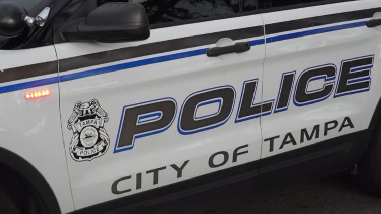 Tampa police investigating fatal vehicle vs. pedestrian crash late ...
