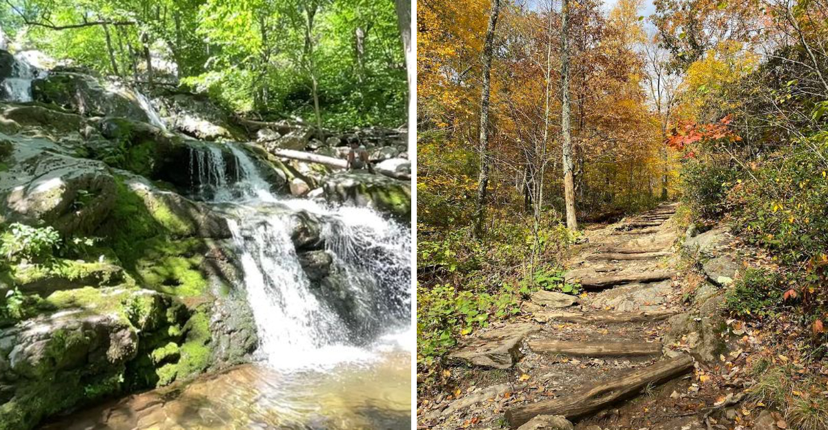 This hidden Virginia waterfall is so perfect it looks straight out of a ...