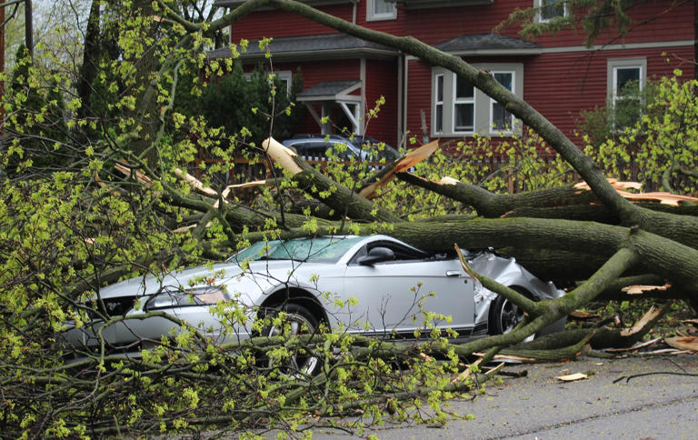 What to know about the high-wind storm that battered Ann Arbor and beyond
