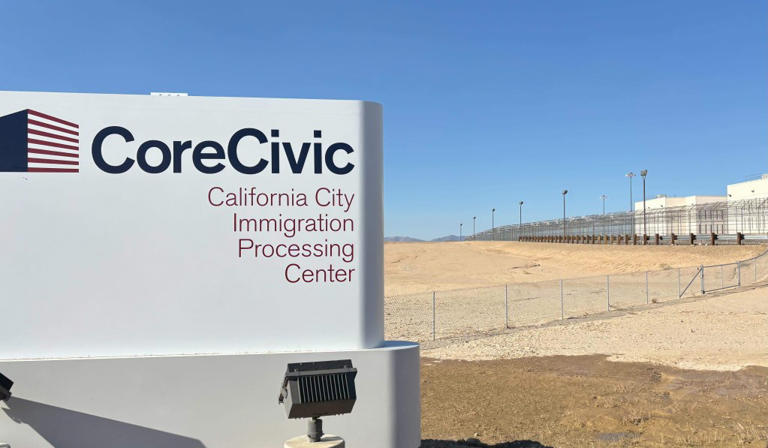 Billionaire CA gov. hopeful Tom Steyer launches shocking ICE manifesto ...