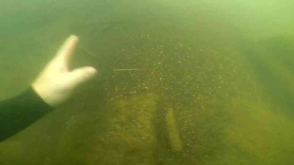 This video shows the moment 7 phones are found in one dive