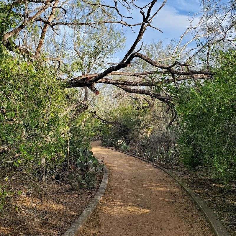 This hidden Texas nature center feels like a quiet escape filled with ...