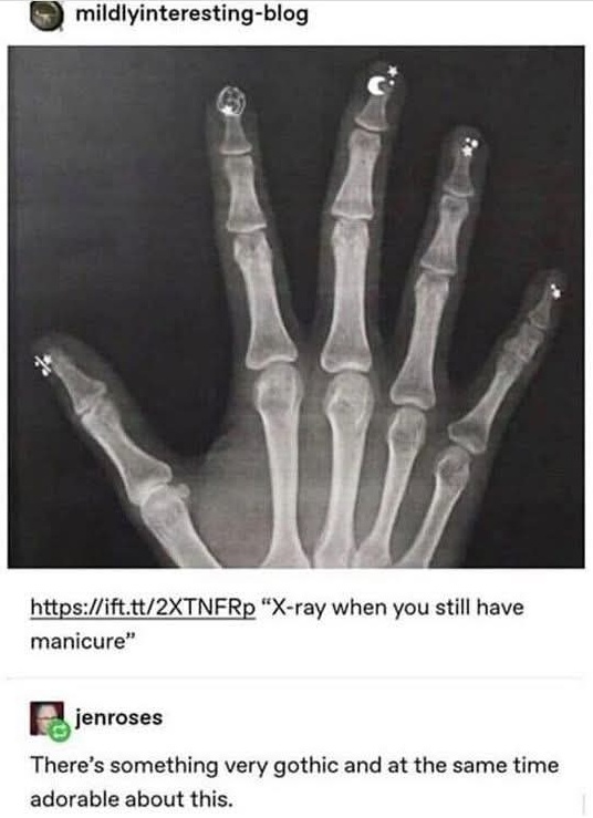 25 random memes to keep you busy