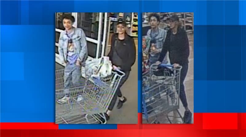 Shopping on someone else’s dime: Lansing Twp. police searching for ...