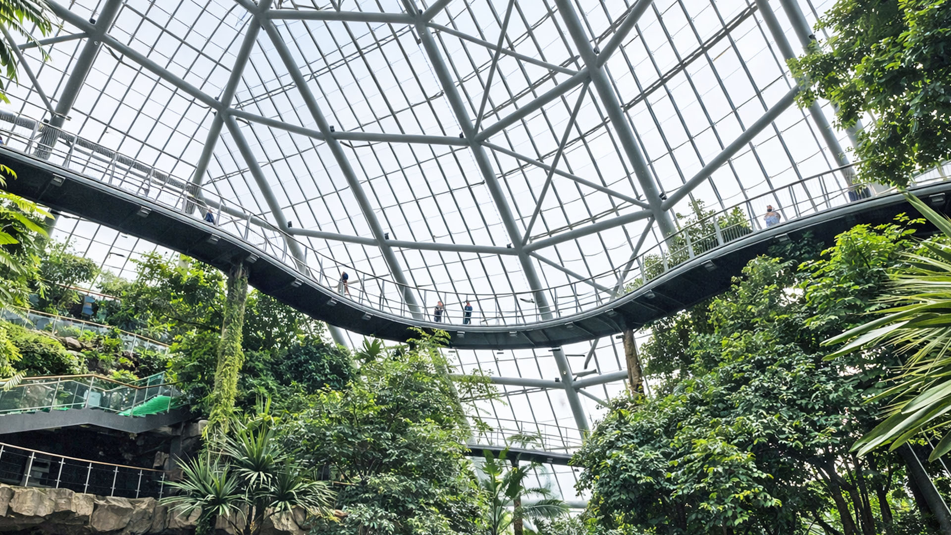 Visitors walk above trees inside a giant dome structure in China