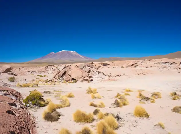 O deserto do Atacama no Chile é um dos lugares mais secos do mundo