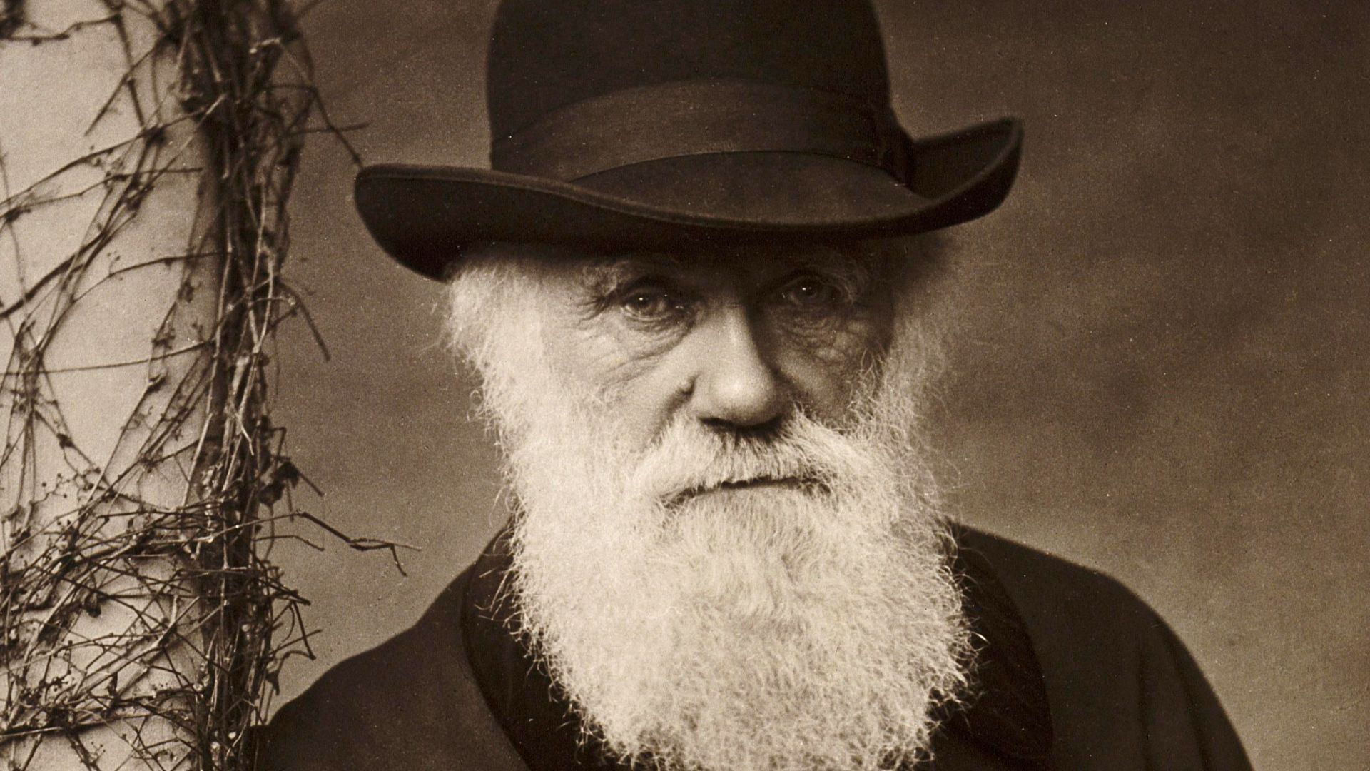 20 historical figures who were total failures until their 40s