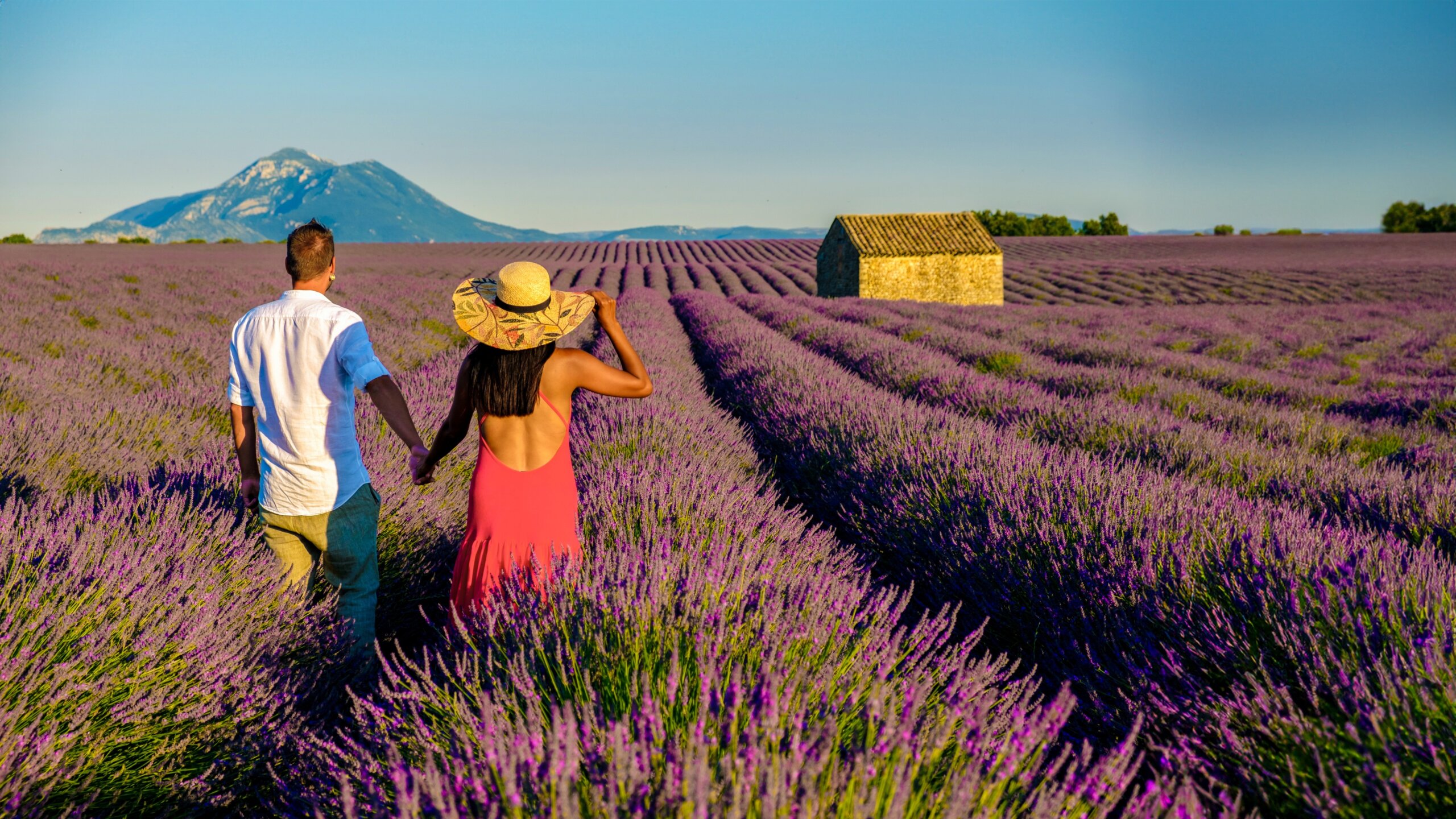 15 reasons Provence is a heavenly destination