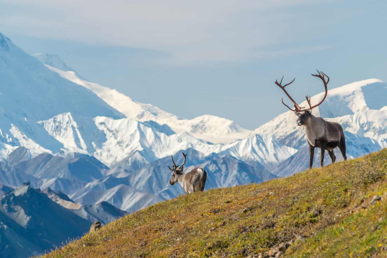 Hidden gems and unusual attractions to visit in every US state