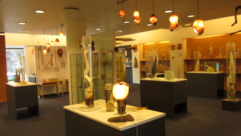 17 weird museums and offbeat buildings around the world worth a ...