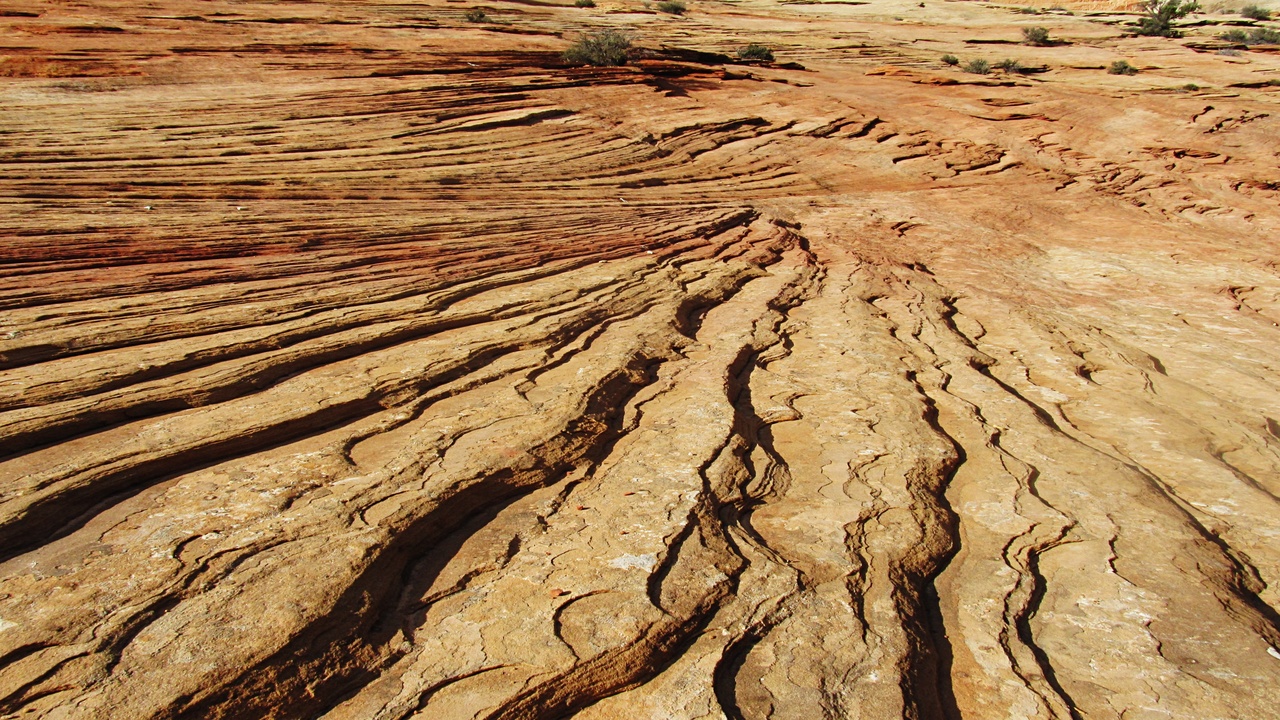 The Narrows in Utah is what happens when a canyon forgets to leave room ...
