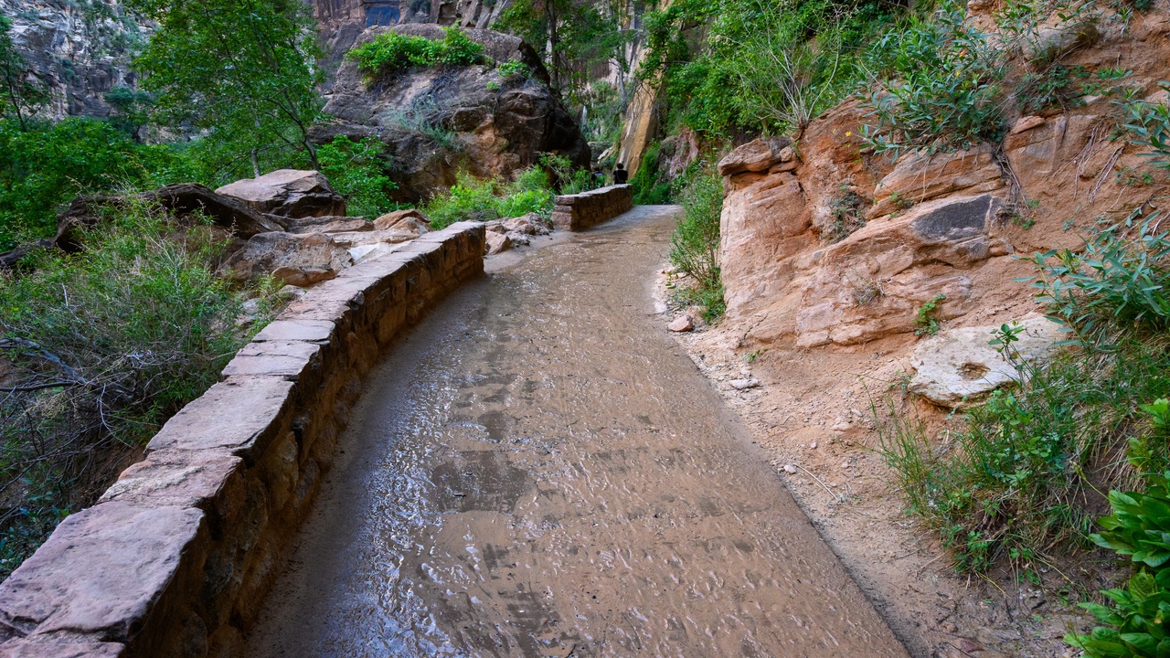 The Narrows in Utah is what happens when a canyon forgets to leave room ...