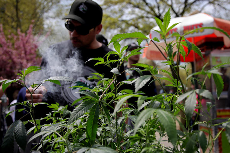 Hemp vs weed? NJ adjusts THC rules just before 4/20. What to know