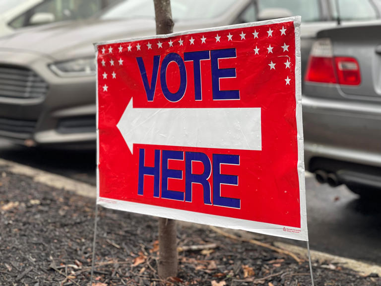 Georgia election officials worry drastic changes to voting policy could ...