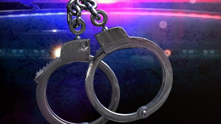 Roanoke police nab armed robbery suspect using LPR technology