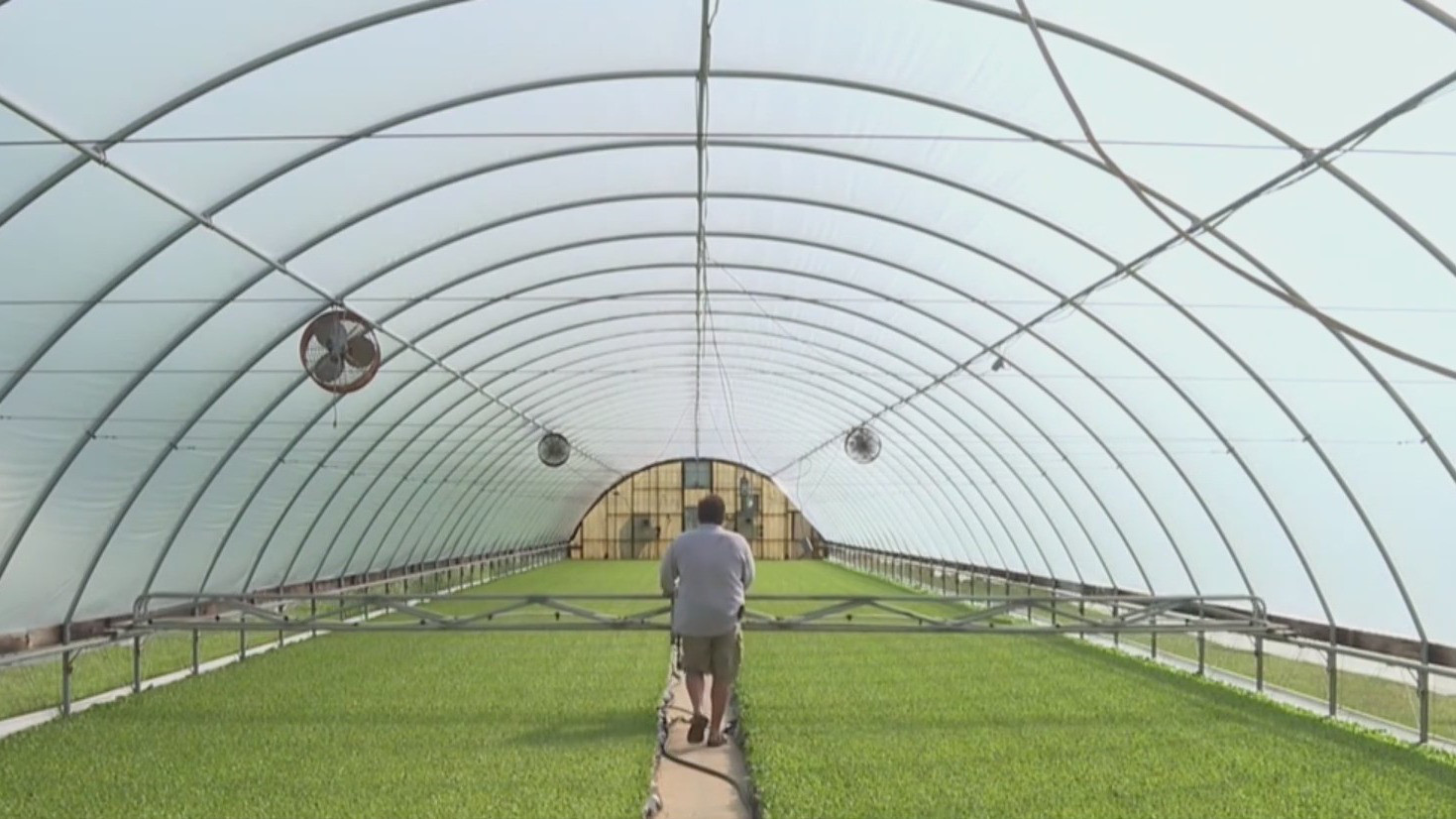 Rockingham County farmer works through dry spell