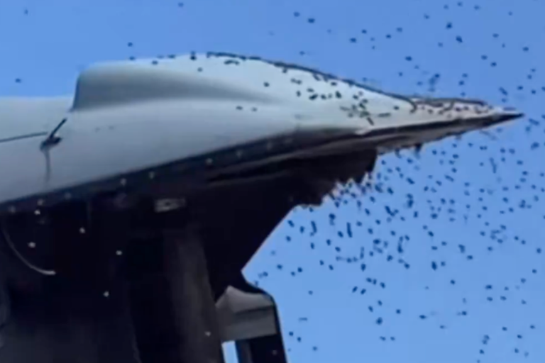 Israeli military plane grounded by 'biblical plague' of bees in ...