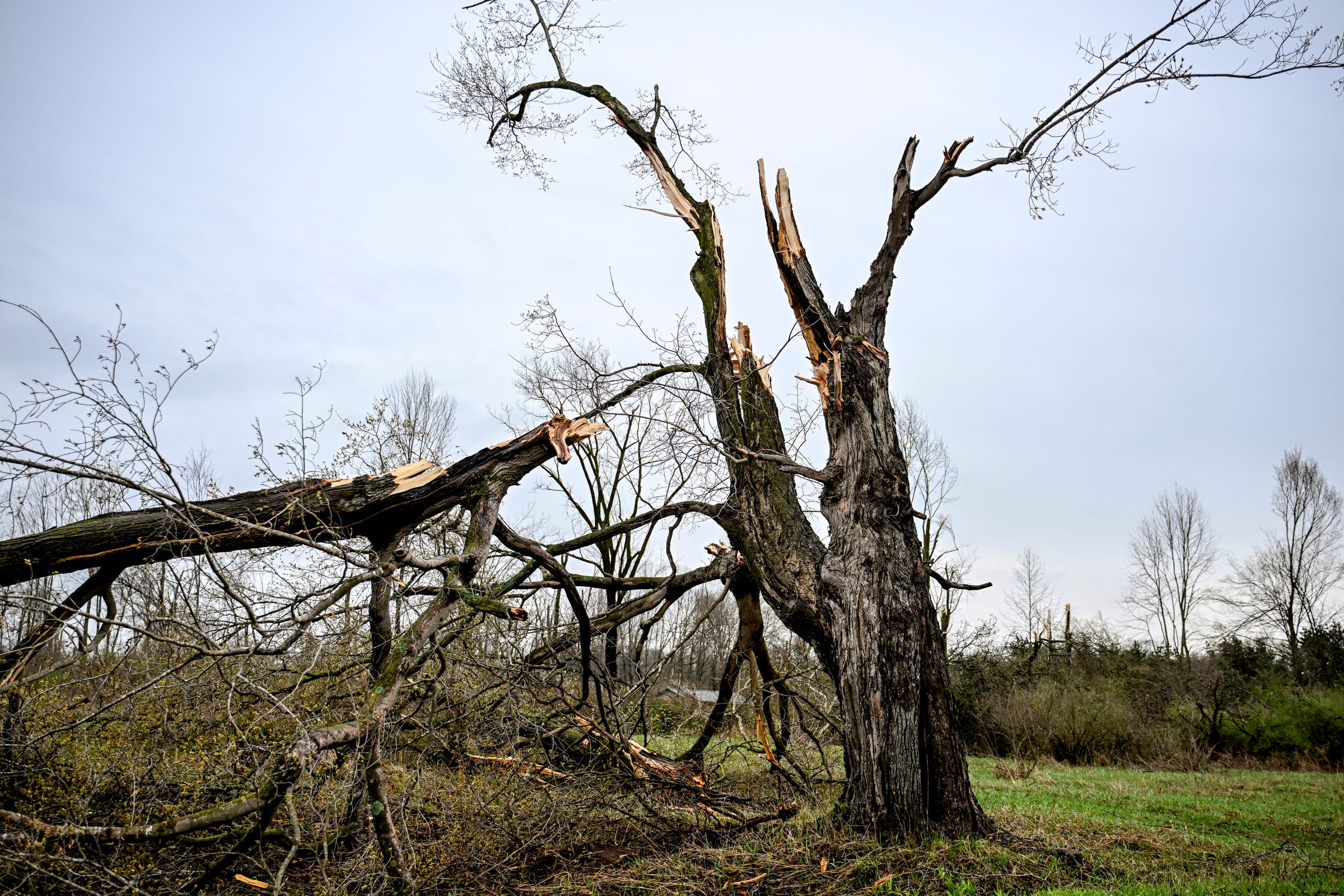 2 tornadoes confirmed in June 11 storms. Where they struck