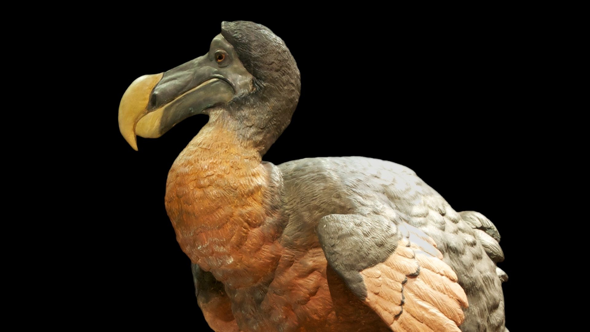 20 foods harvested into extinction