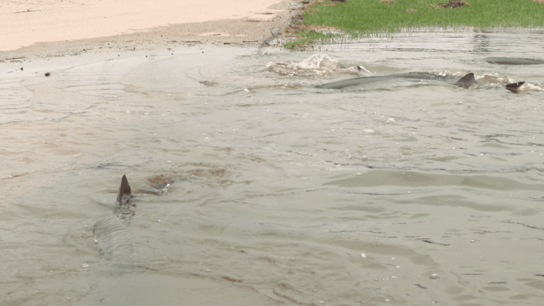 Road closures across northeast Wisconsin due to flooding