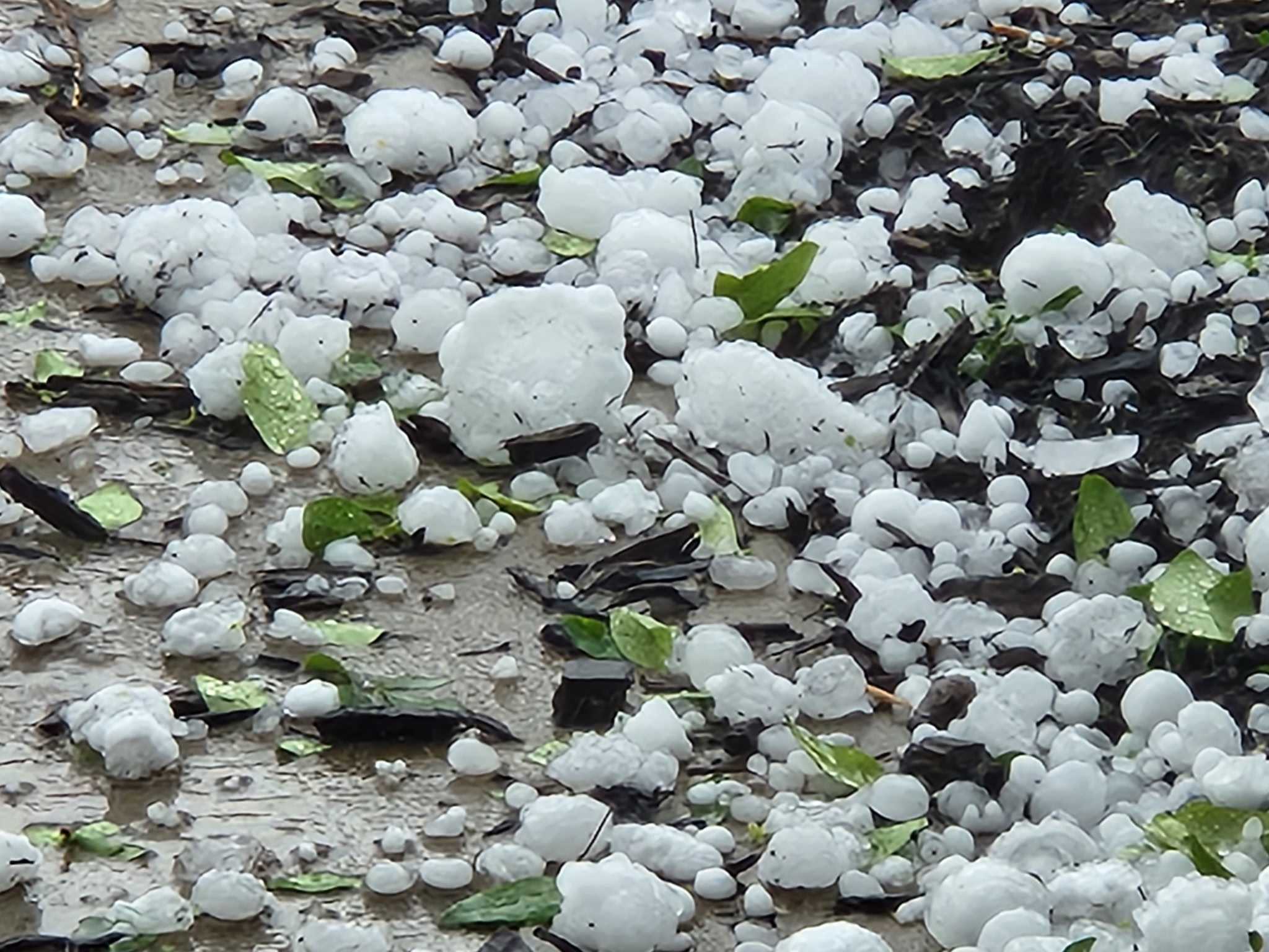 School canceled in Osawatomie after large hail hits Miami County