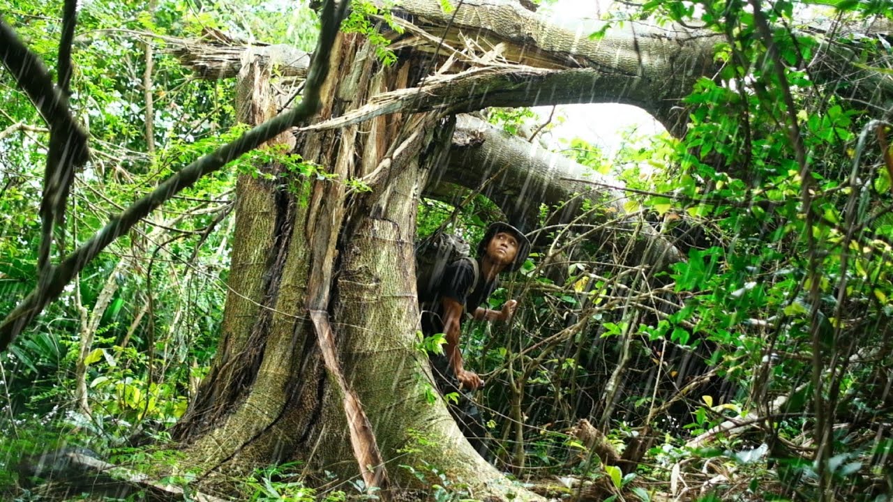 Petualangan camping dan teknik bushcraft!