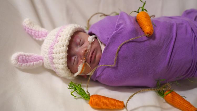 Tiny patients at HonorHealth NICU celebrate spring