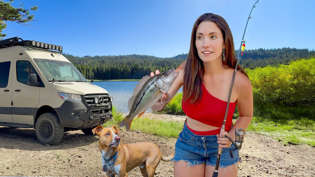 I’m camping on a lakeside with my dog