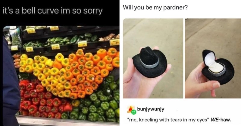 22 unreasonably corny dad joke memes that should come with a pun warning