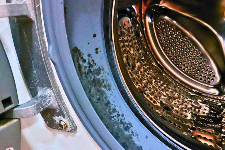 Expert reveals how to remove mould from washing machine using common ...