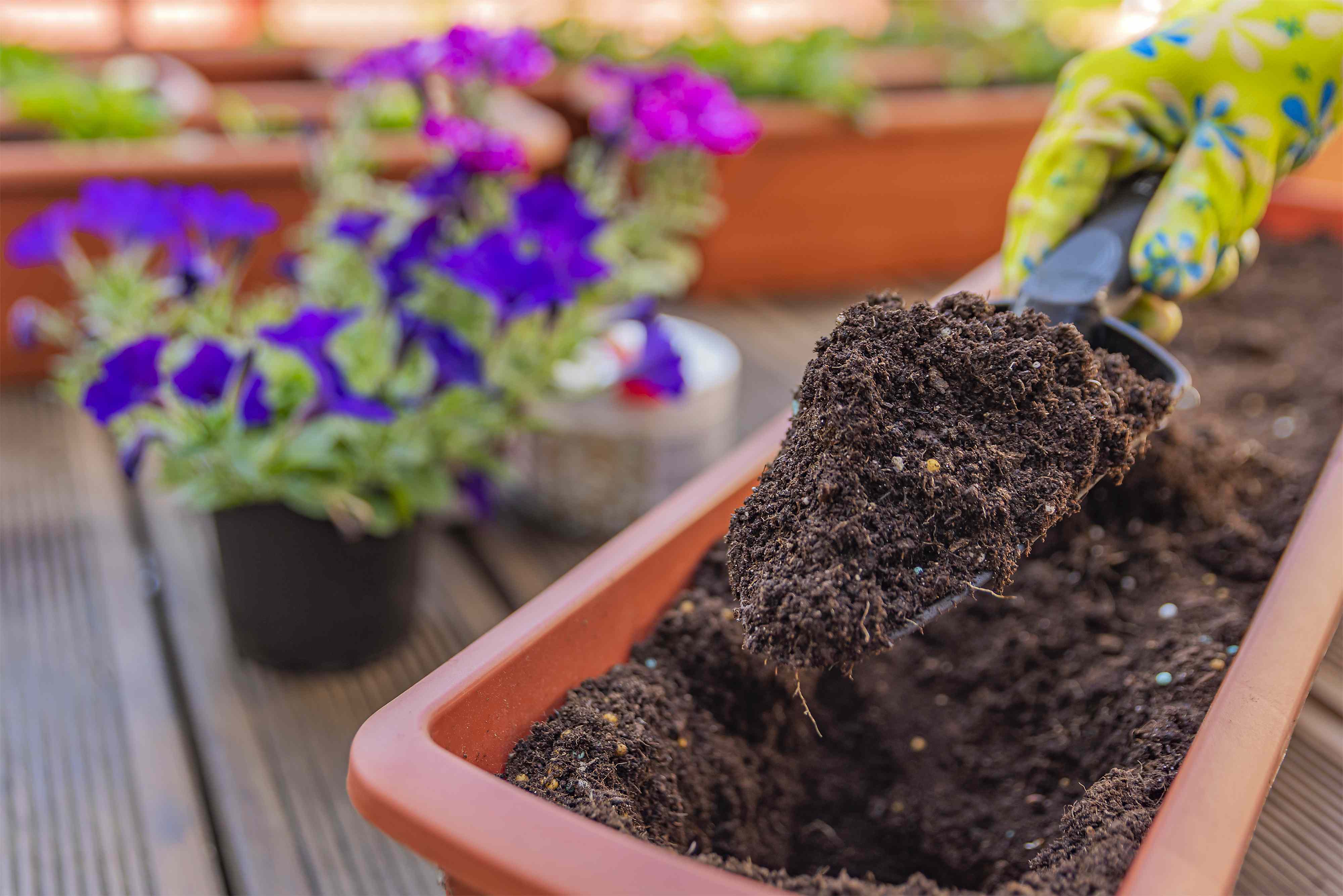 Should you remove old potting soil from pots before adding new plants?
