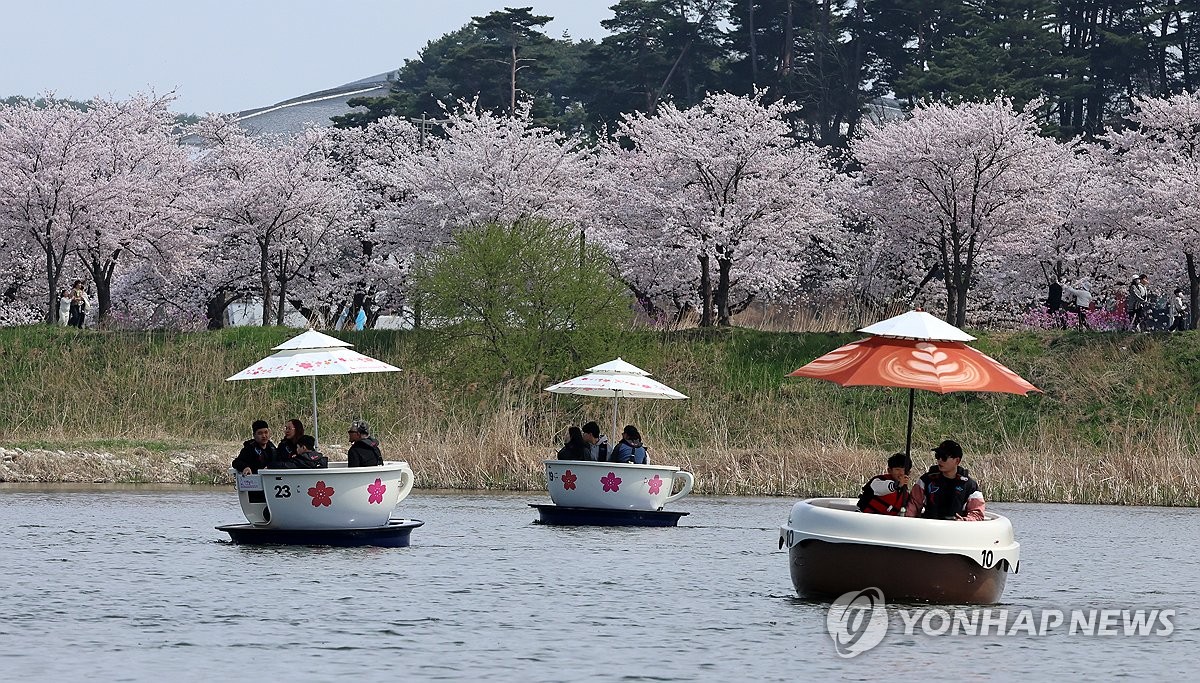 Spring festival in Gangneung