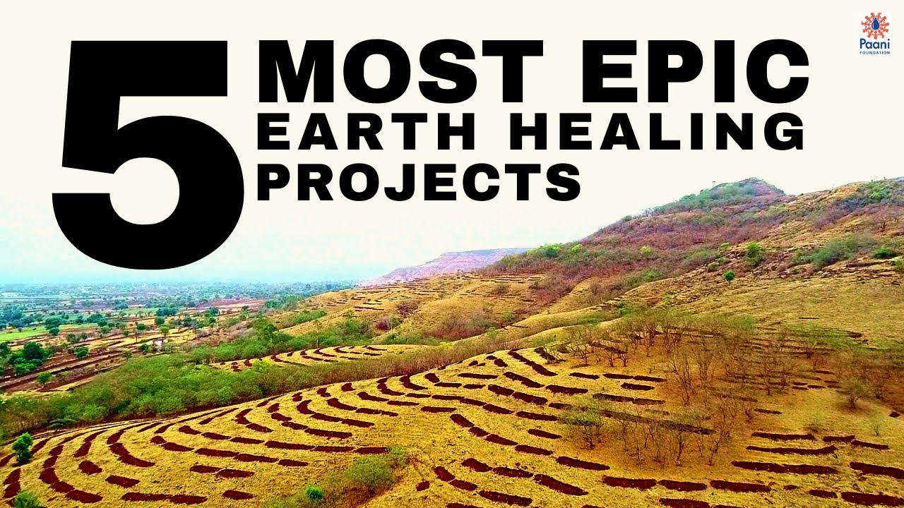 I discovered 5 epic projects healing our planet 🌍