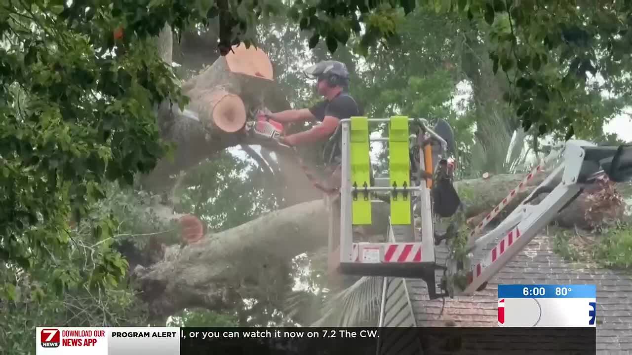 Demolition crew begins cleanup after tree partially destroys Lake ...