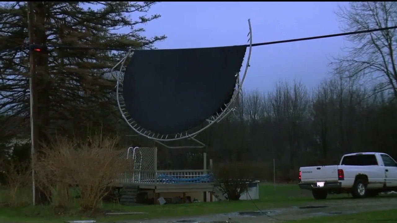 Strong storms in southeast Michigan damage buildings, knock down trees