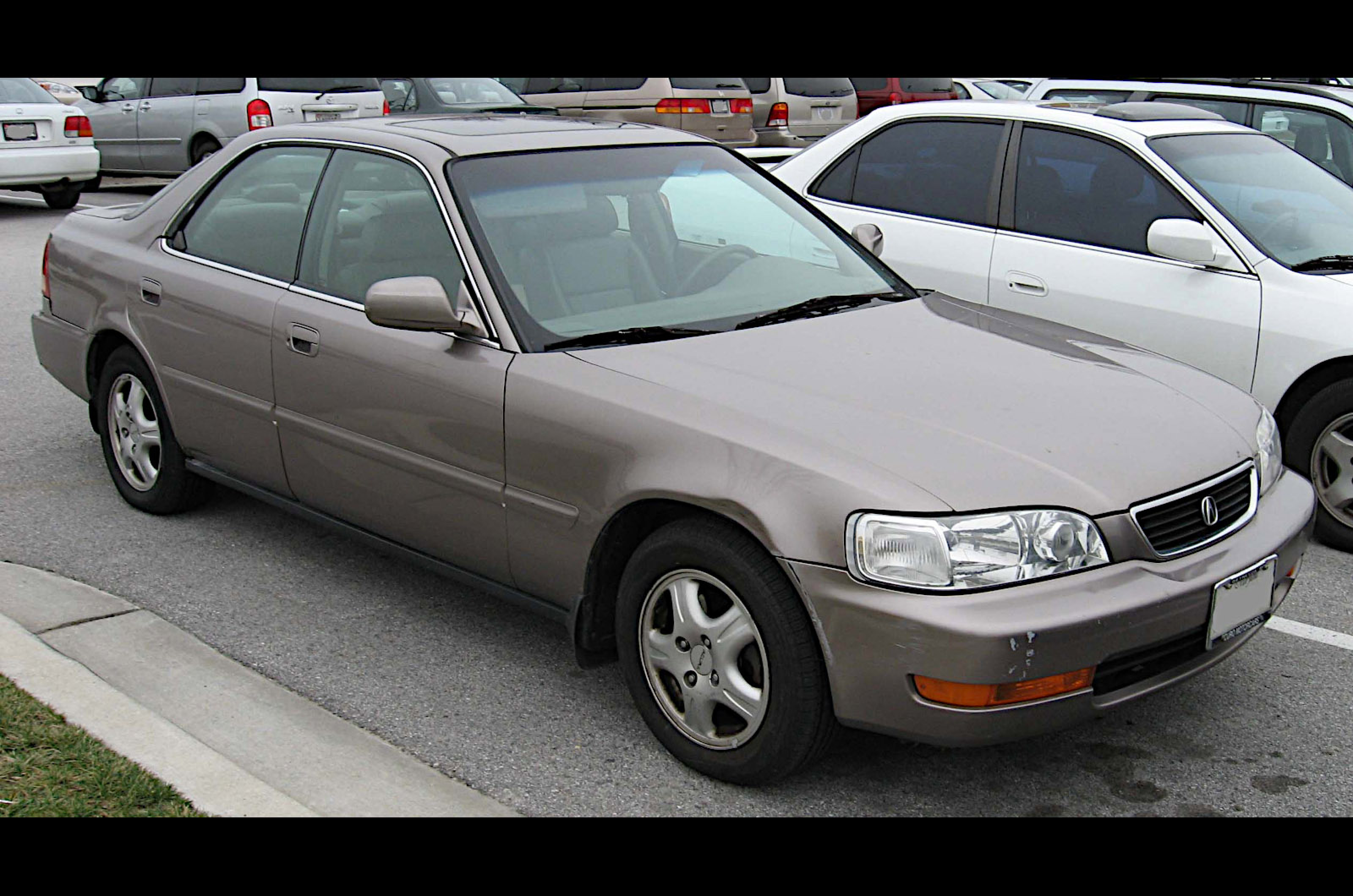 Los grandes coches nuevos de 1995